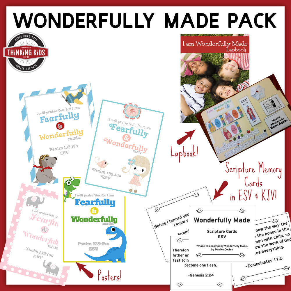 Wonderfully Made Companion Pack – Thinking Kids Press